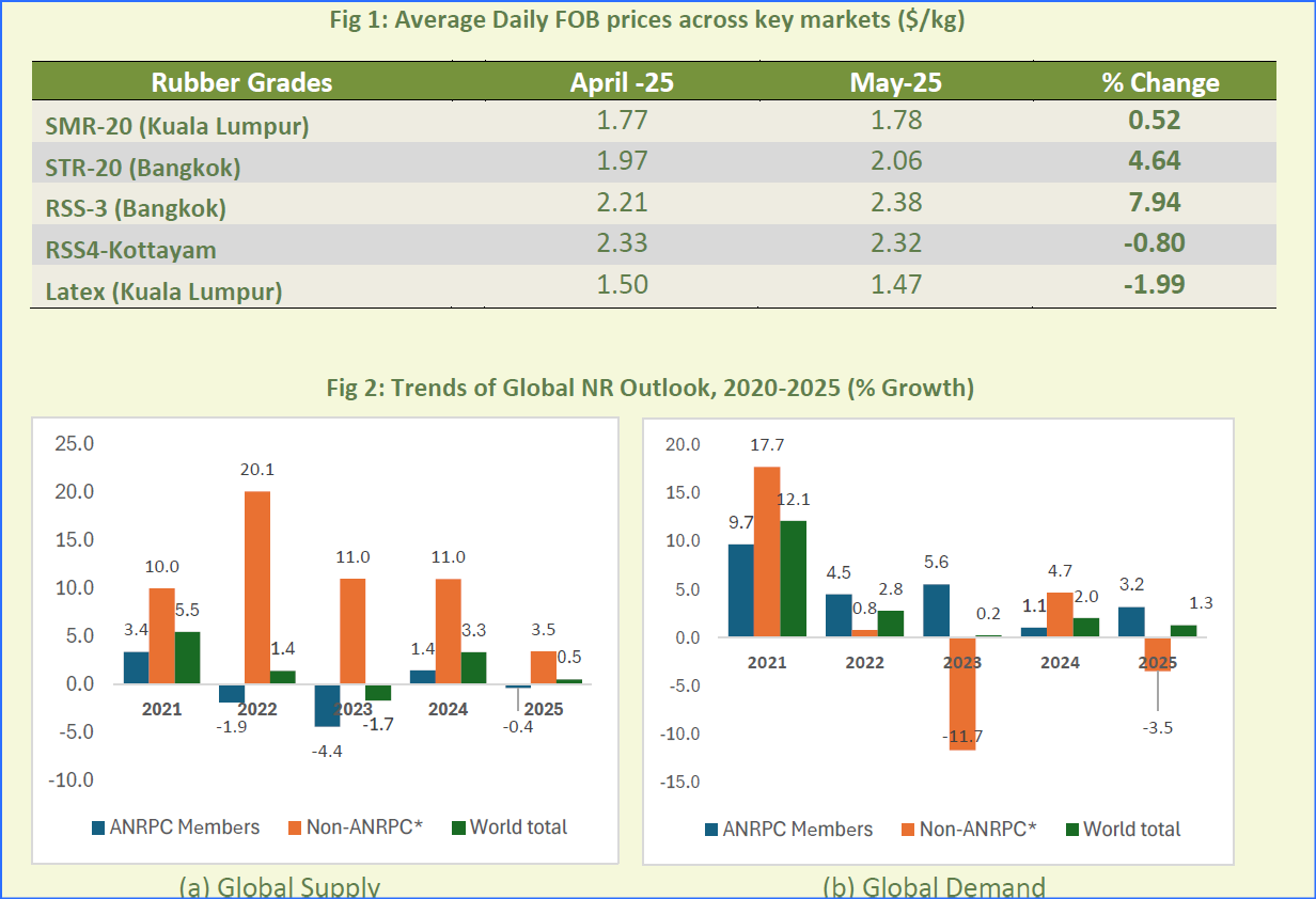 ANRPC Publishes Monthly NR Statistical Report For May 2025